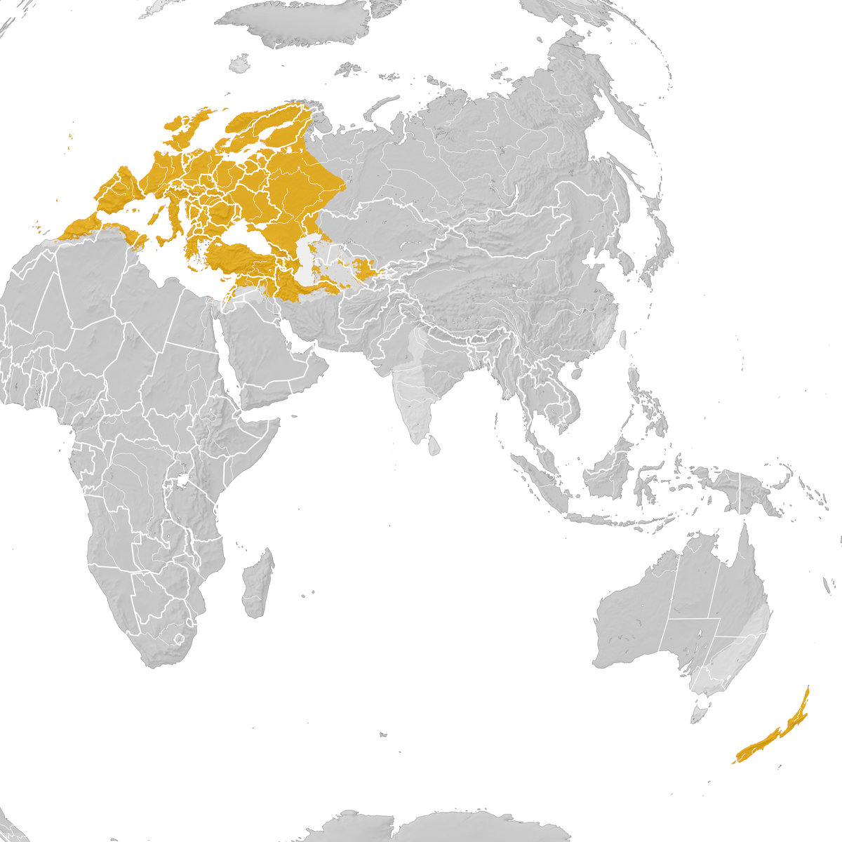 Common Chaffinch - Range map: Pre-breeding migration - eBird Status and ...