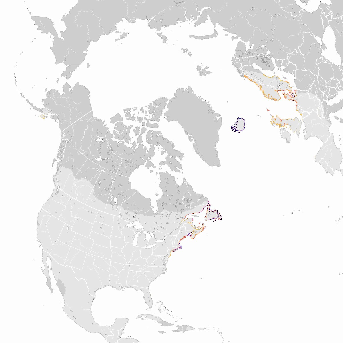 Common Eider - Abundance animation - eBird Status and Trends