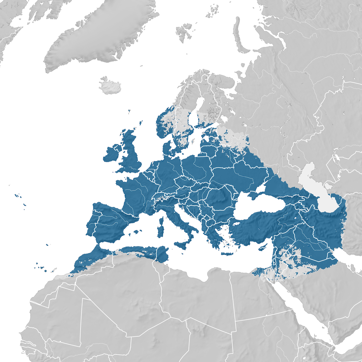 European Robin - Range map: Non-breeding - eBird Status and Trends