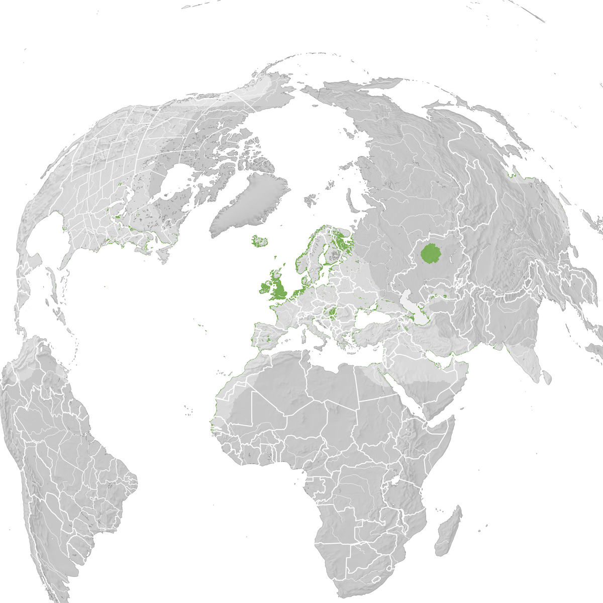 Lesser Black-backed Gull - Range map: Pre-breeding migration - eBird ...