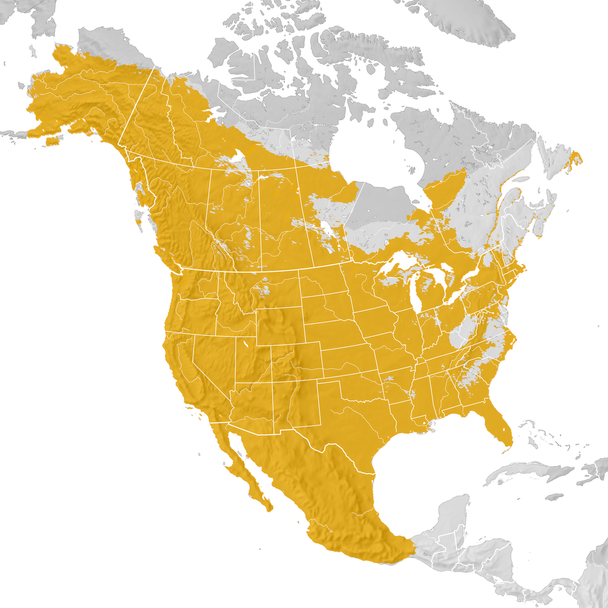 Orange-crowned Warbler - Range map: Post-breeding migration - eBird ...