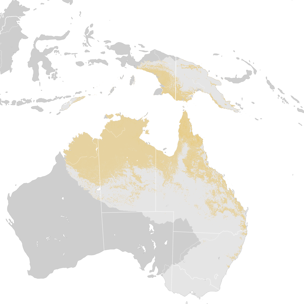 Channel-billed Cuckoo - Abundance map: Post-breeding migration - eBird ...