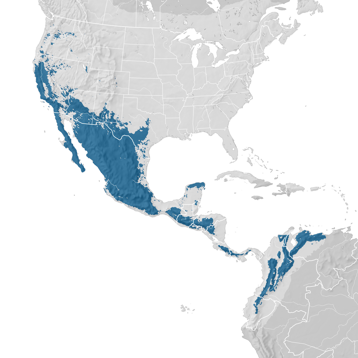 Lesser Goldfinch - Range map: Non-breeding - eBird Status and Trends