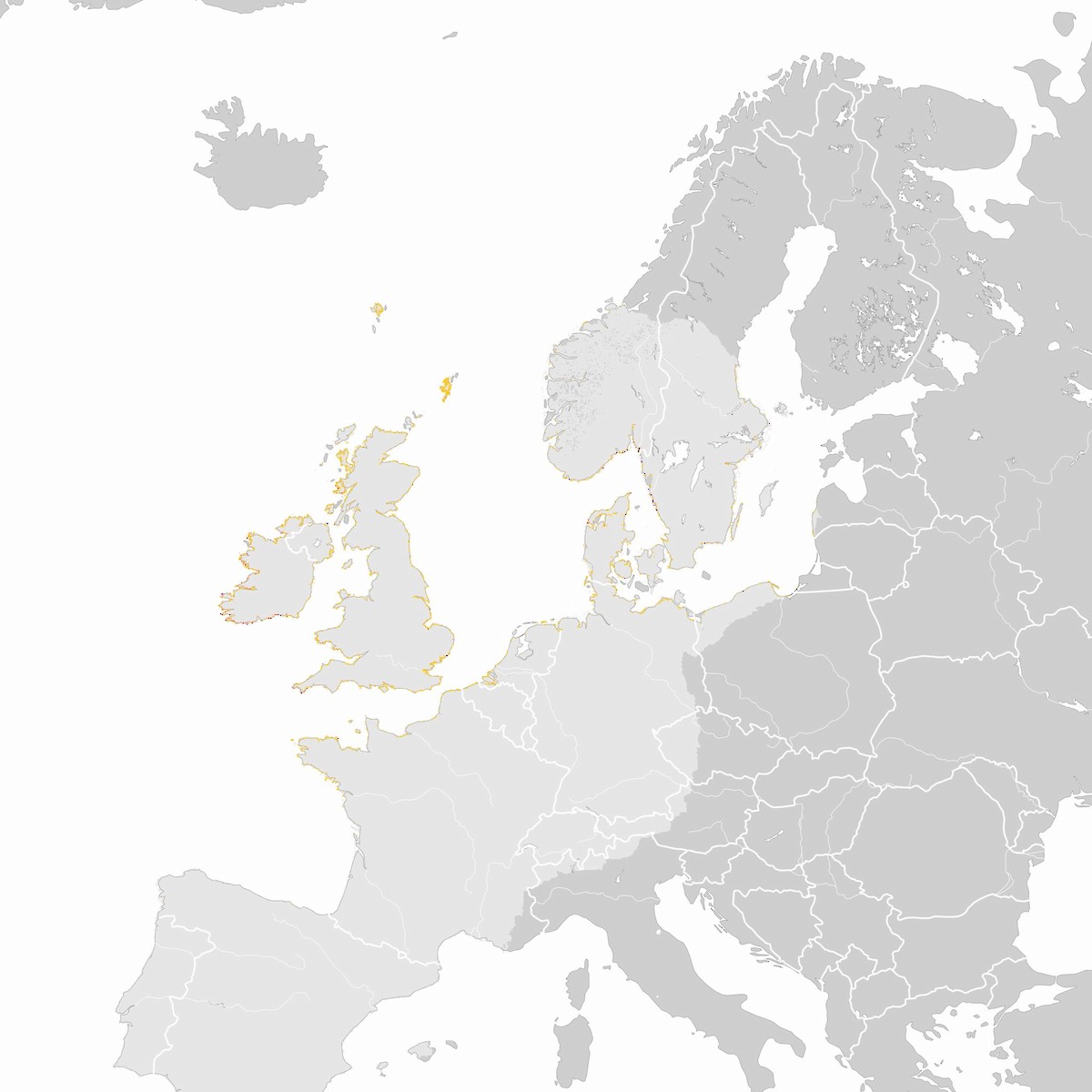 Rock Pipit - Abundance animation - eBird Status and Trends