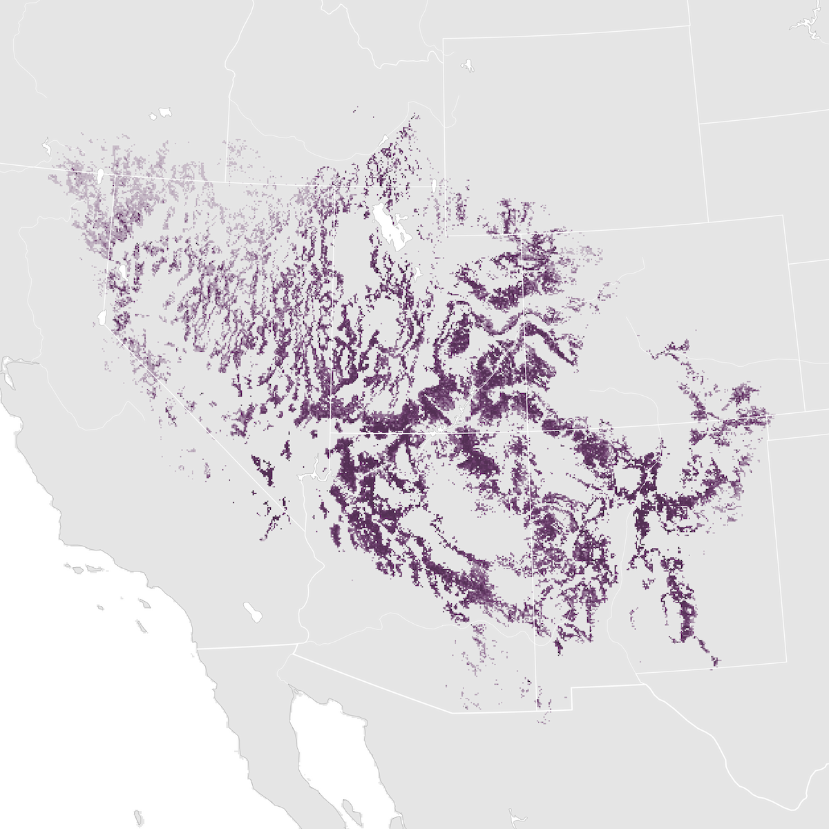 Juniper Titmouse - Abundance map - eBird Status and Trends