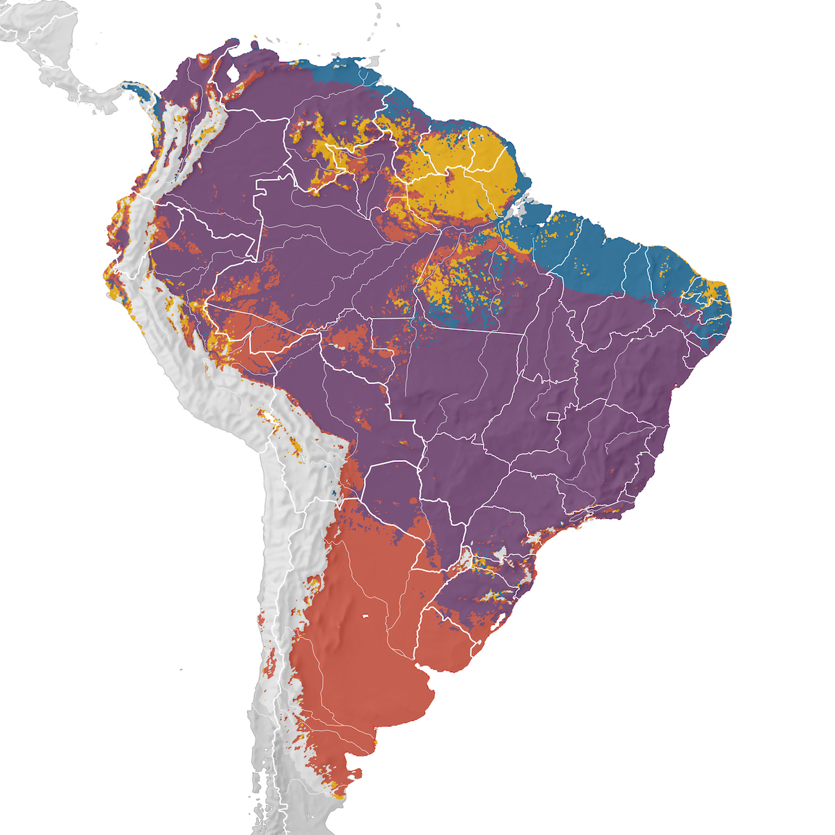 Brown-chested Martin - Range map - eBird Status and Trends