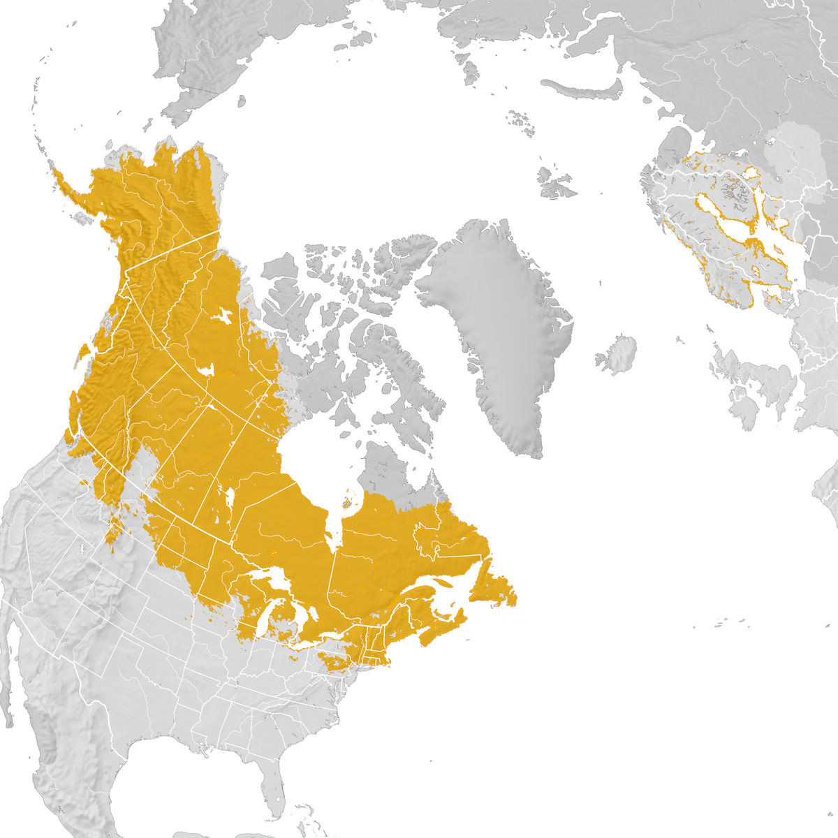White-winged Crossbill - Range map: Post-breeding migration - eBird ...