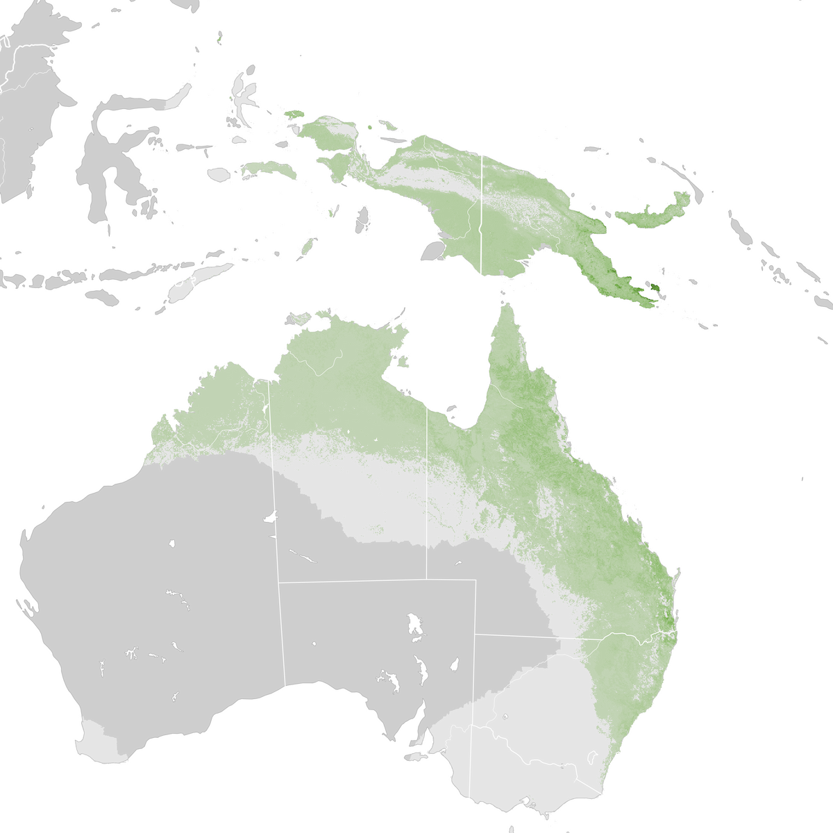 Channel-billed Cuckoo - Abundance map: Pre-breeding migration - eBird ...