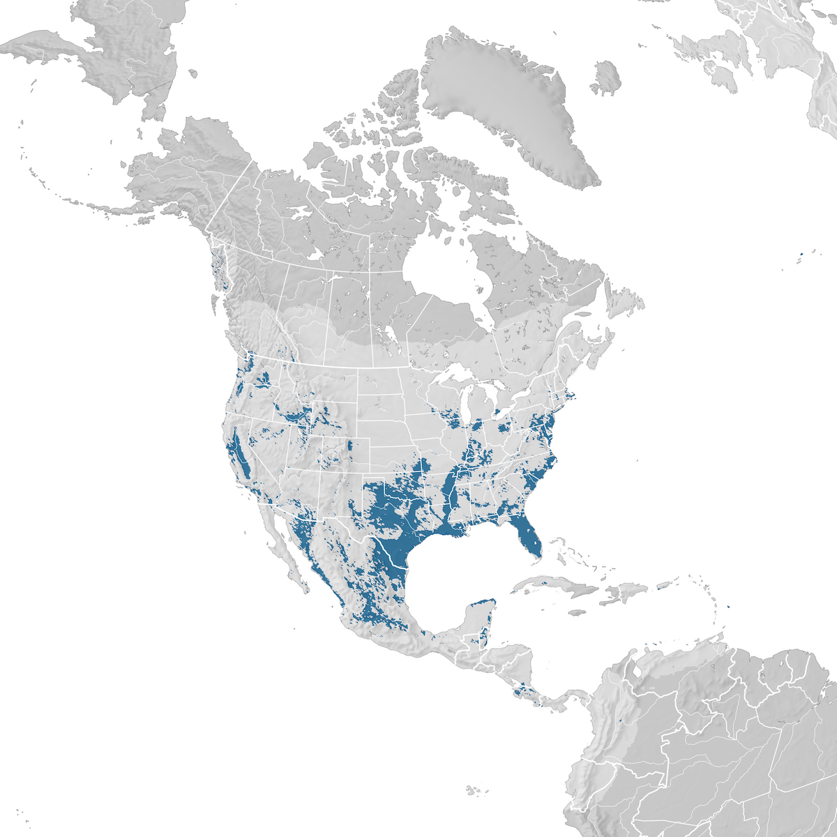 Wilson's Snipe - Range map: Non-breeding - eBird Status and Trends