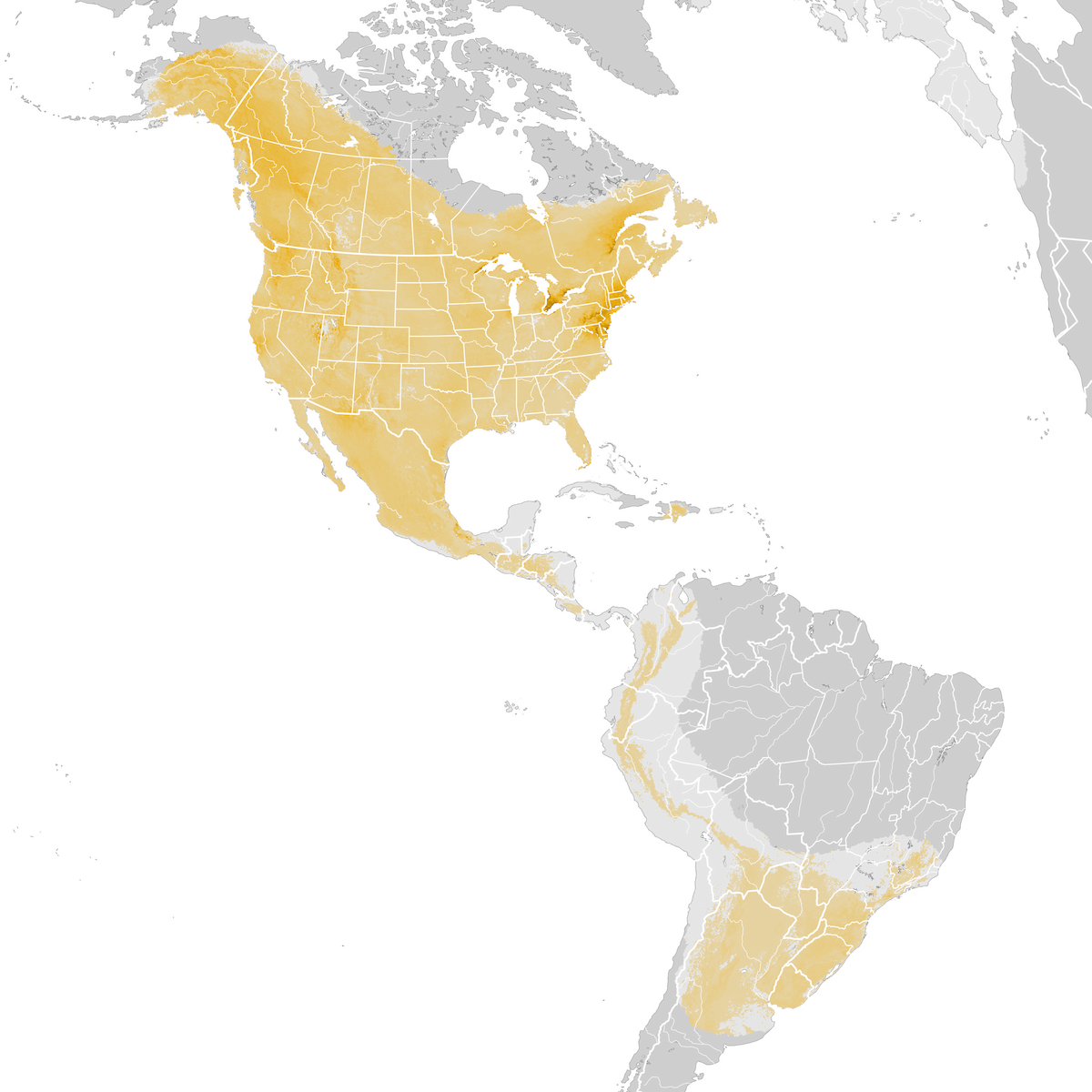 Sharp-shinned Hawk - Abundance map: Post-breeding migration - eBird ...