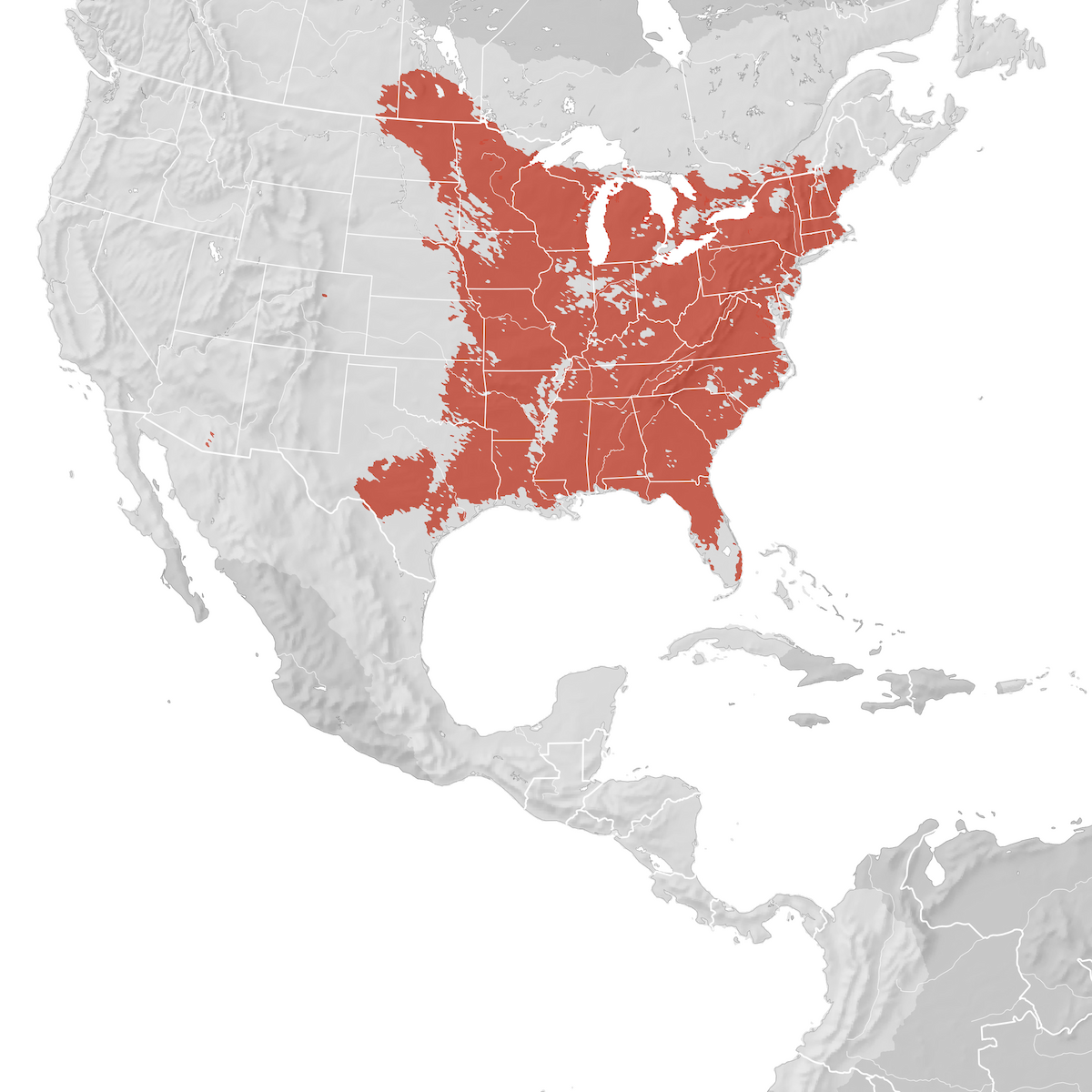 Yellow-throated Vireo - Range map: Breeding - eBird Status and Trends