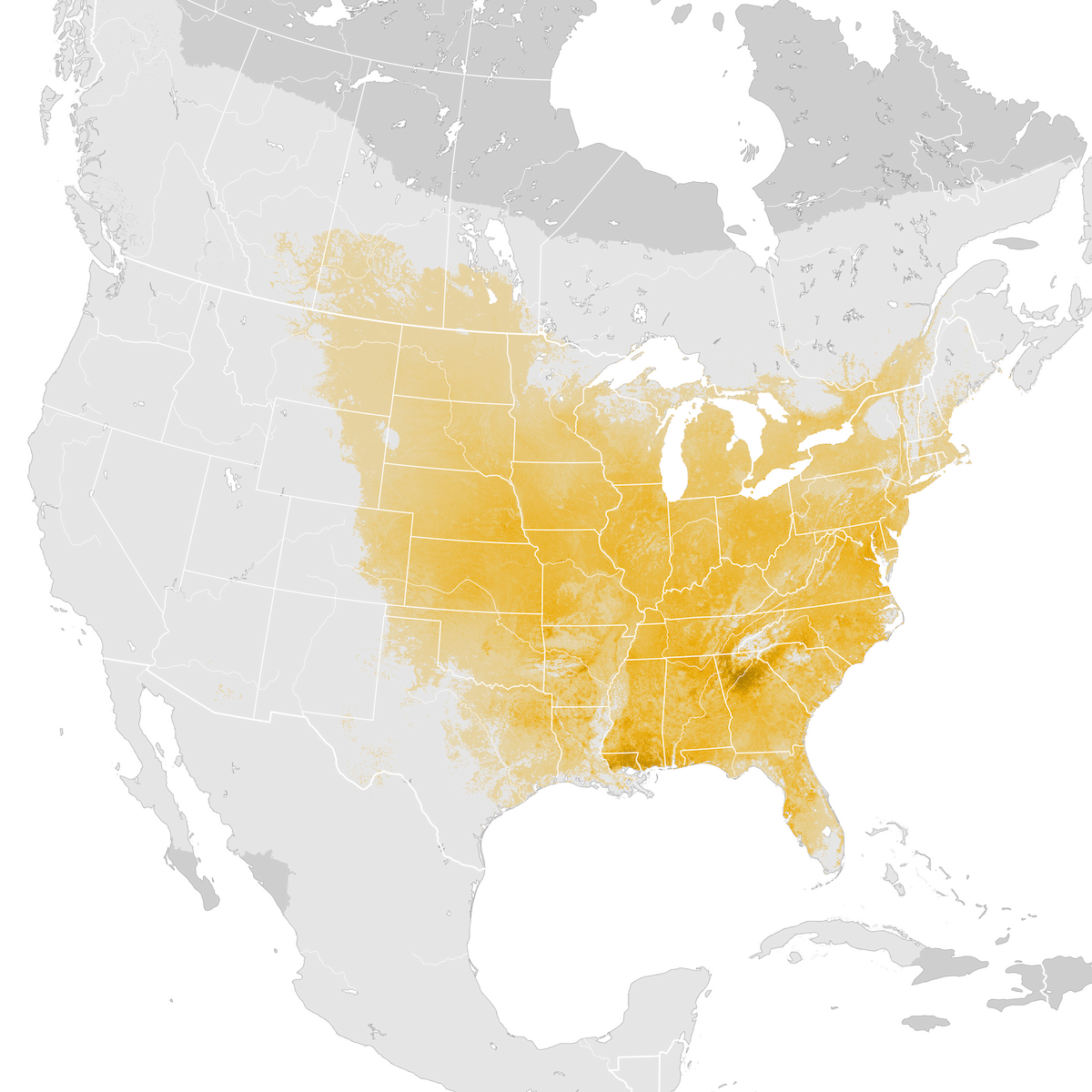 Brown Thrasher - Abundance map: Pre-breeding migration - eBird Status ...