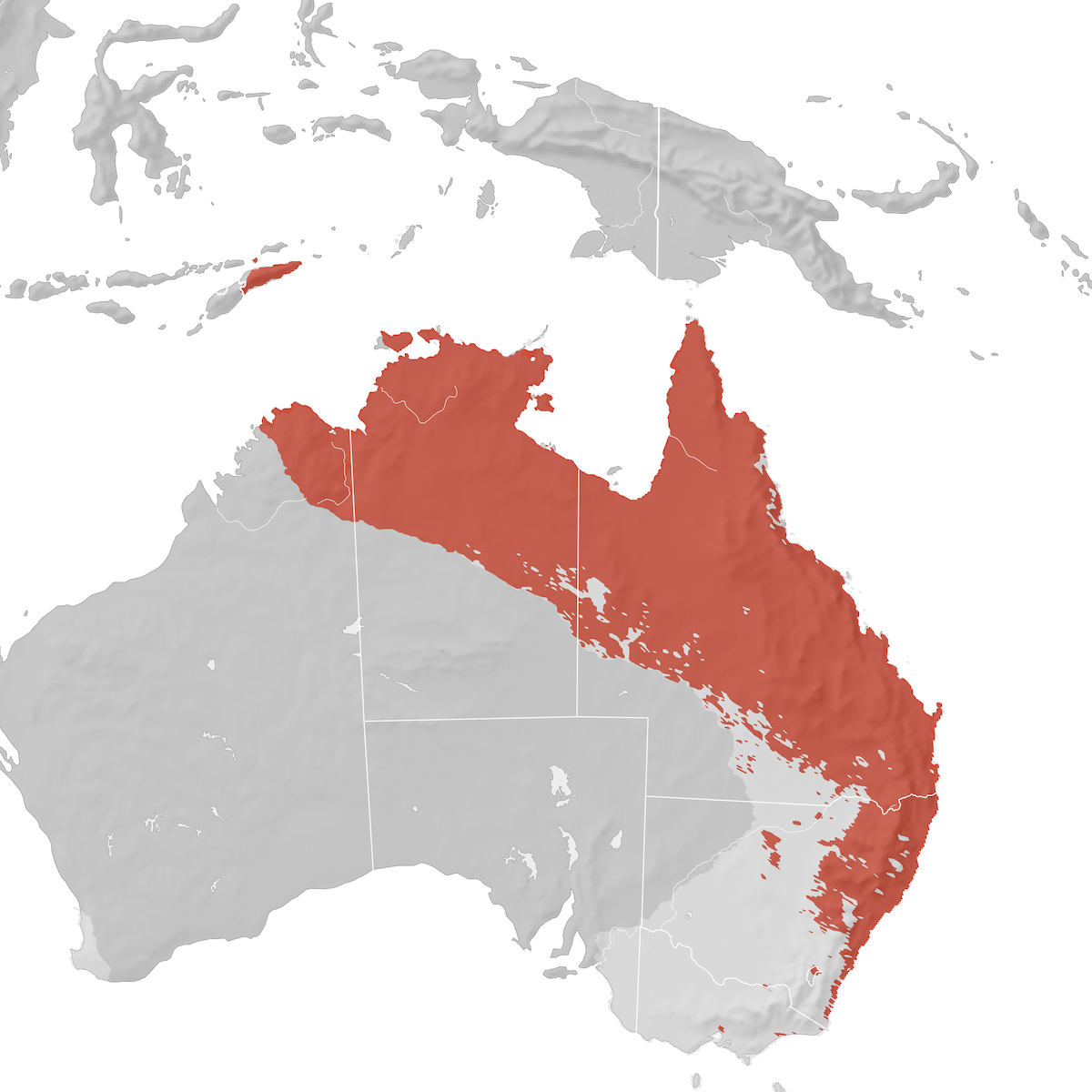 Pacific Koel - Range map: Breeding - eBird Status and Trends