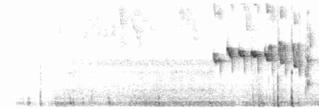 eBird Checklist - 26 Jul 2010 - Bosque Nublado de Chihuana - 3 species