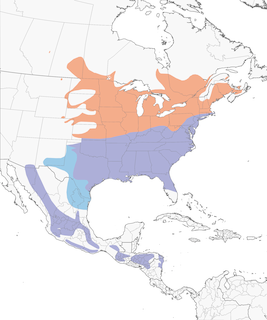 Distribution of the Eastern Bluebird - Range Map