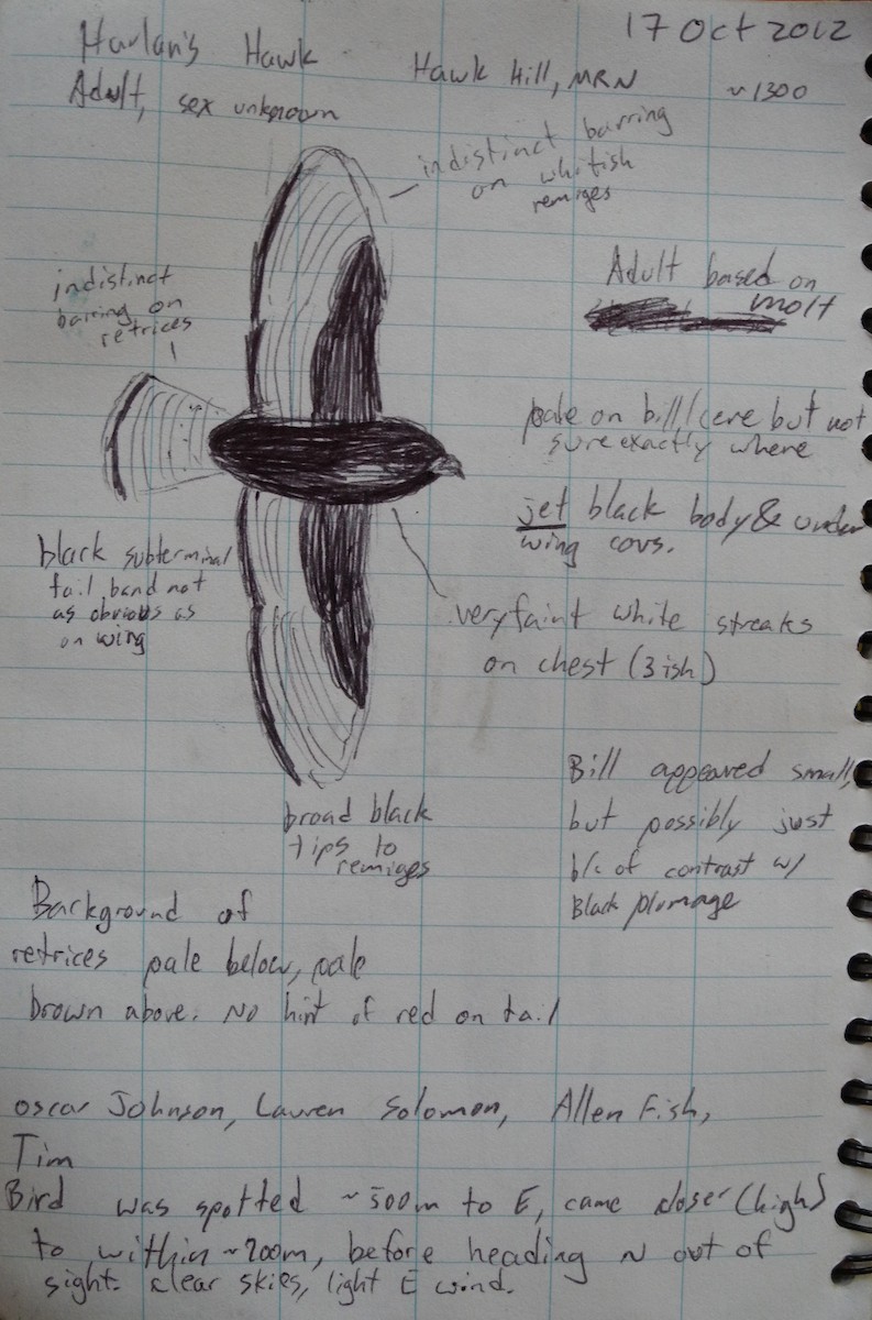 eBird Checklist - 17 Oct 2012 - Hawk Hill - 42 species (+2 other taxa)