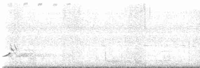 Illustrated Checklist - Poplar Ford Park, Fairfax County, VA, US ...