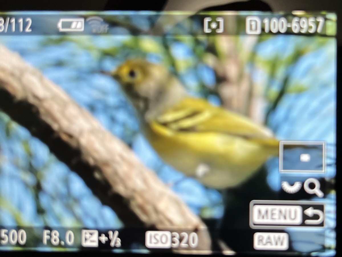 eBird Checklist - 26 Sep 2022 - Long Point Wildlife Refuge - 14 species