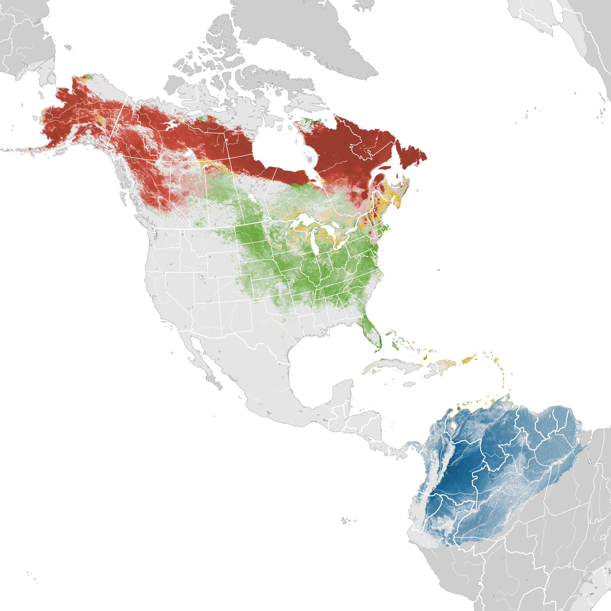 Blackpoll Warbler Migration Map
