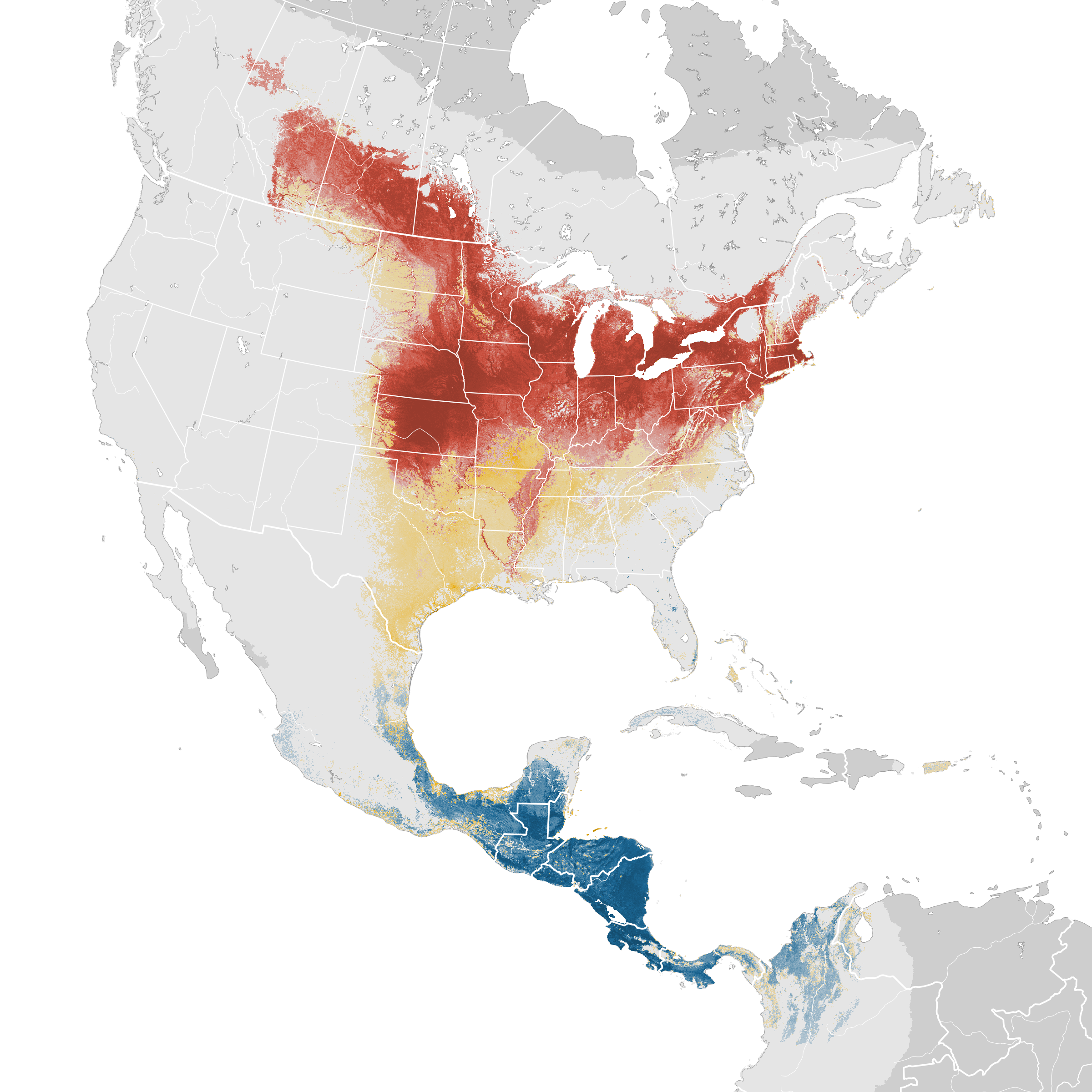 Baltimore Oriole Range