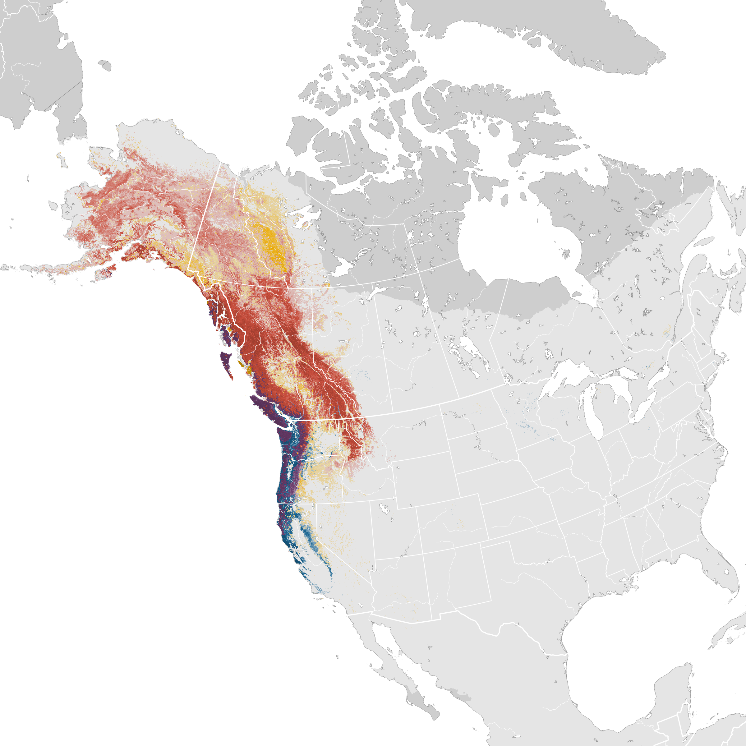 Varied Thrush Range