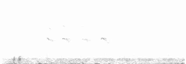 eBird Checklist - 2 Nov 2022 - Ellice Swamp - 10 species