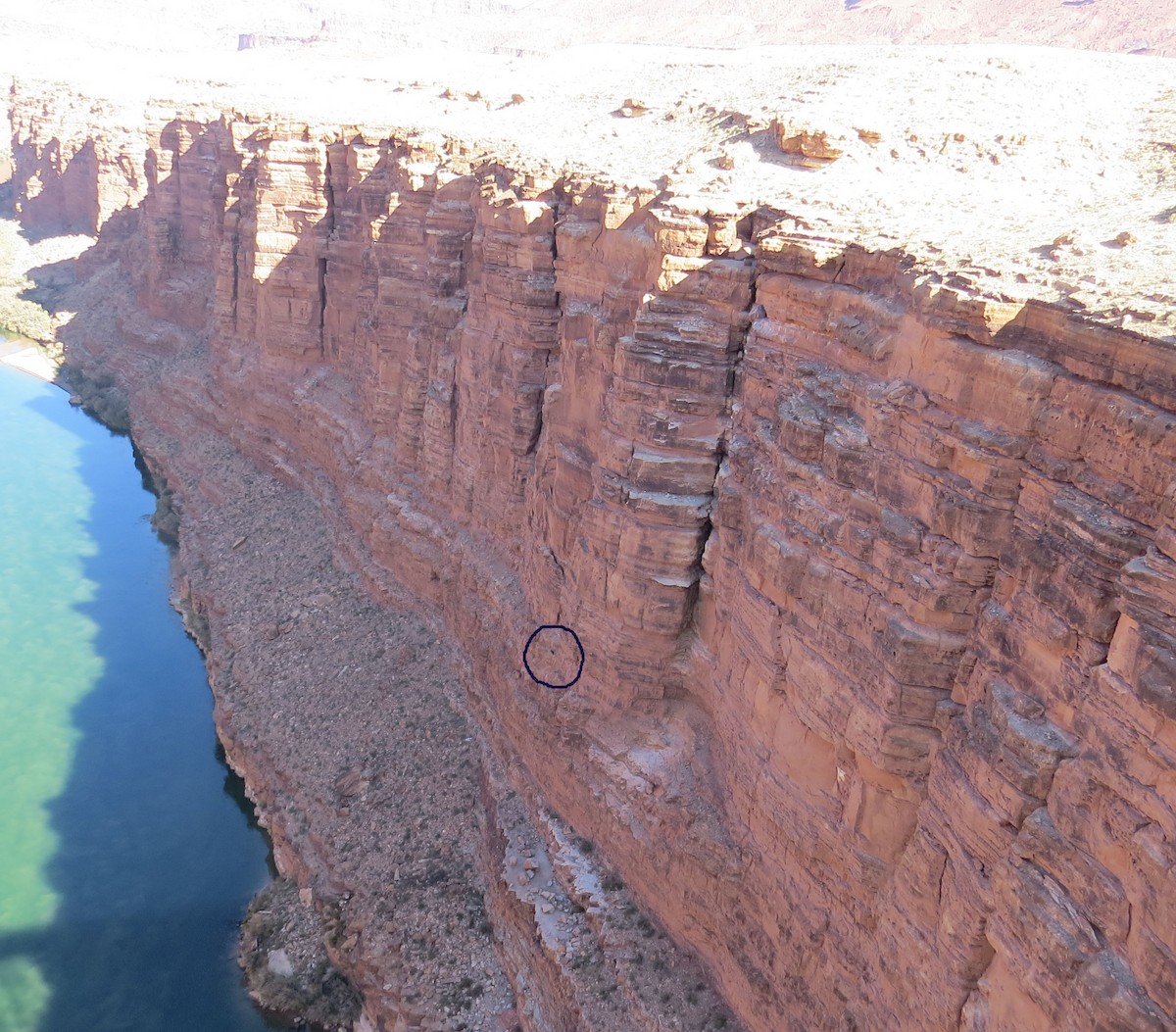 eBird Checklist - 18 Nov 2022 - Glen Canyon NRA--Navajo Bridge - 2 species