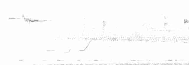 Recherche de fichiers audio-visuels - Macaulay Library et eBird