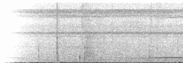 ML516289 - Dusky Pigeon - Macaulay Library