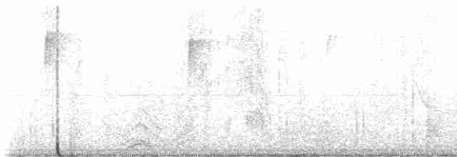 eBird Checklist - 5 Feb 2023 - Florida Atlantic University Ecological ...
