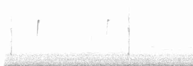 ML54868391 Northern Cardinal Macaulay Library