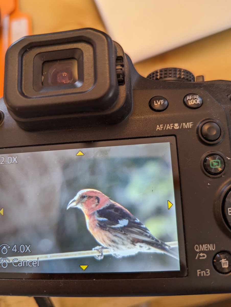 eBird Checklist - 5 Apr 2023 - cabin - 10 species