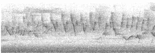 eBird Checklist - 21 Apr 2023 - WNWR - Beaverdam peninsula - 72 species