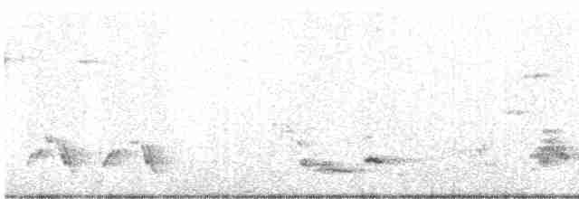 eBird Checklist - 19 Apr 2023 - 1334 E. Walnut St., Lancaster - 9 species