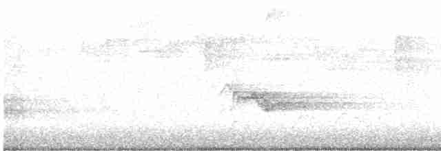 eBird Checklist - 3 May 2023 - Stumpy Lake Natural Area - 36 species