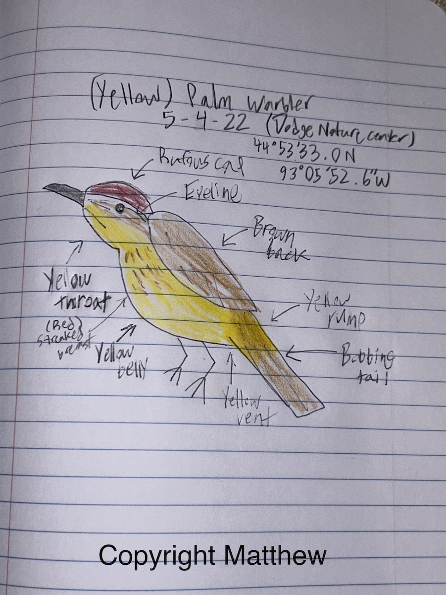 eBird Checklist - 4 May 2023 - Dodge Nature Center - 31 species (+1 ...