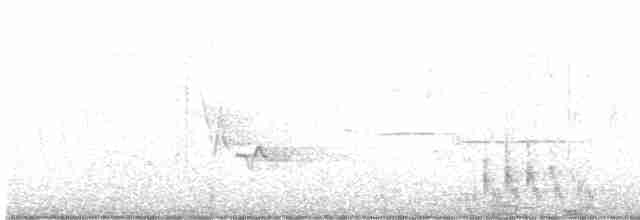 eBird Checklist - 21 May 2023 - Warnimont County Park (general) - 86 ...