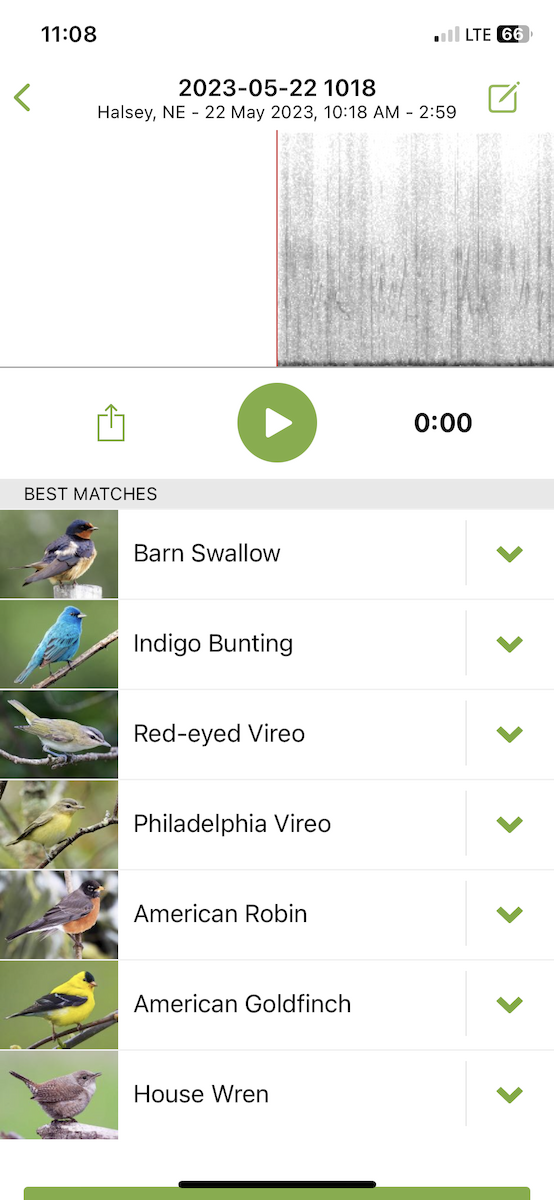 eBird Checklist - 22 May 2023 - Nebraska National Forest, Bessey Ranger ...