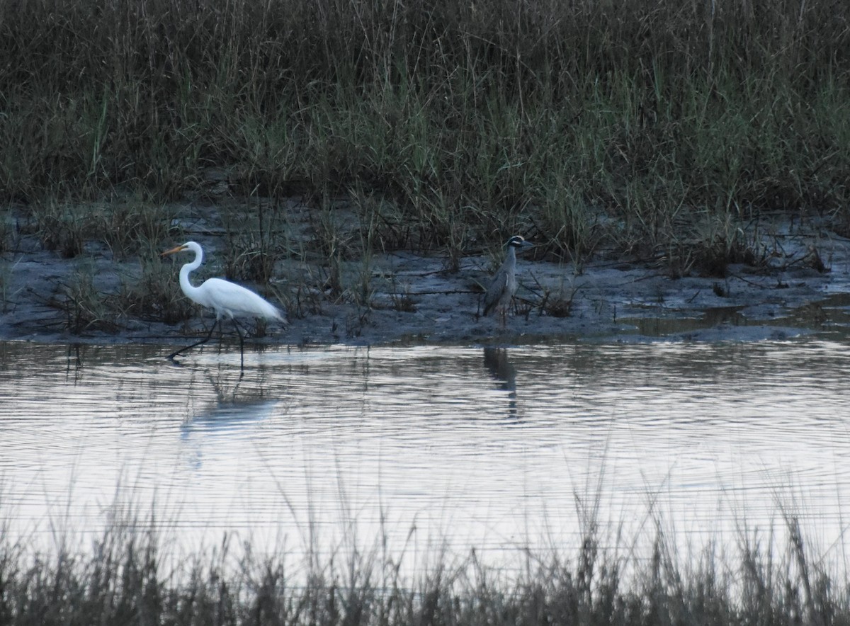 eBird Checklist - 13 May 2017 - Spanish Pond Trailhead - 42 species