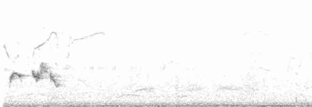 Illustrated Checklist - Chiang Mai University--Mae Hia Agricultural ...