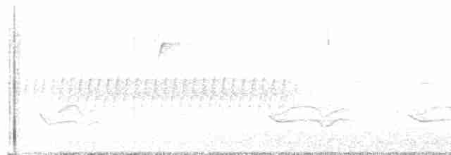 eBird Checklist - 8 Jul 2023 - Ferry Beach SP, Saco - 23 species