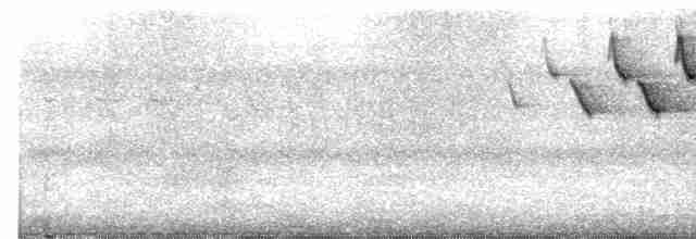 Nashville Warbler - Leiothlypis ruficapilla - Media Search - Macaulay ...