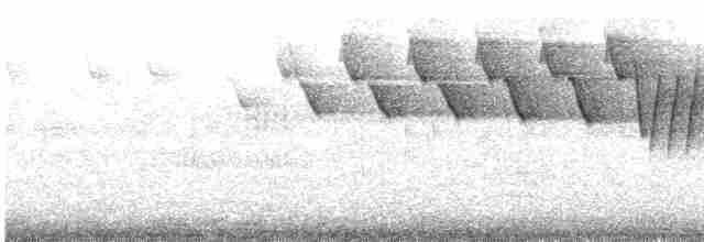 Nashville Warbler - Leiothlypis ruficapilla - Media Search - Macaulay ...