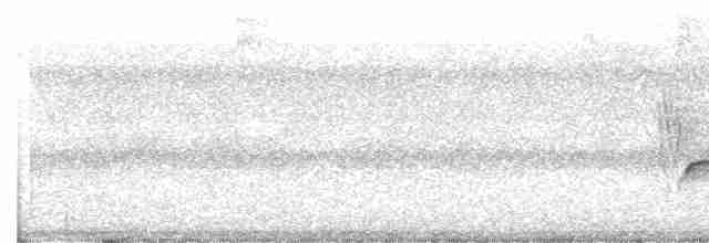 Nashville Warbler - Leiothlypis ruficapilla - Media Search - Macaulay ...