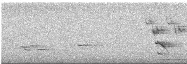 Nashville Warbler - Leiothlypis ruficapilla - Media Search - Macaulay ...