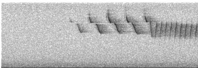 Nashville Warbler - Leiothlypis ruficapilla - Media Search - Macaulay ...