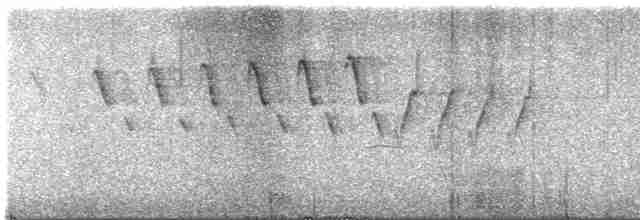 Nashville Warbler - Leiothlypis ruficapilla - Media Search - Macaulay ...