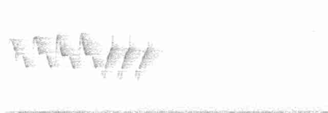 Nashville Warbler - Leiothlypis ruficapilla - Media Search - Macaulay ...