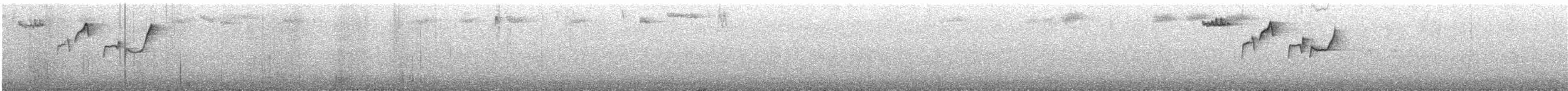 ML597413811 Brown Creeper Macaulay Library