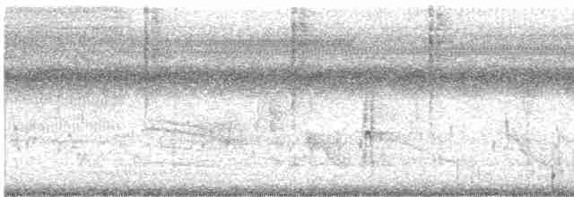 eBird Checklist - 29 Jul 2023 - Corkscrew Regional Ecosystem Watershed ...